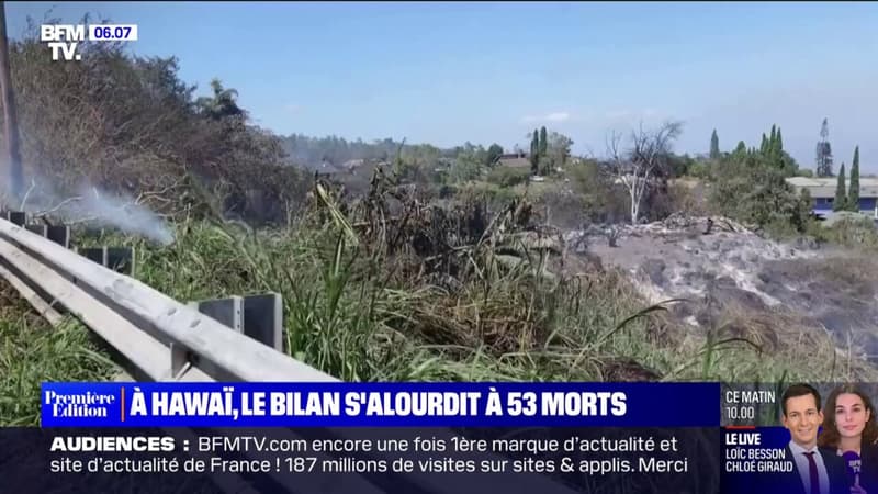 Incendies à Hawaï: le bilan s’alourdit et passe à 53 morts – France Alerte