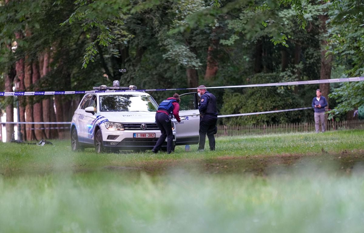 Belgique : Mort d’un enfant à trottinette lors d’un accident avec une voiture de police – France ...